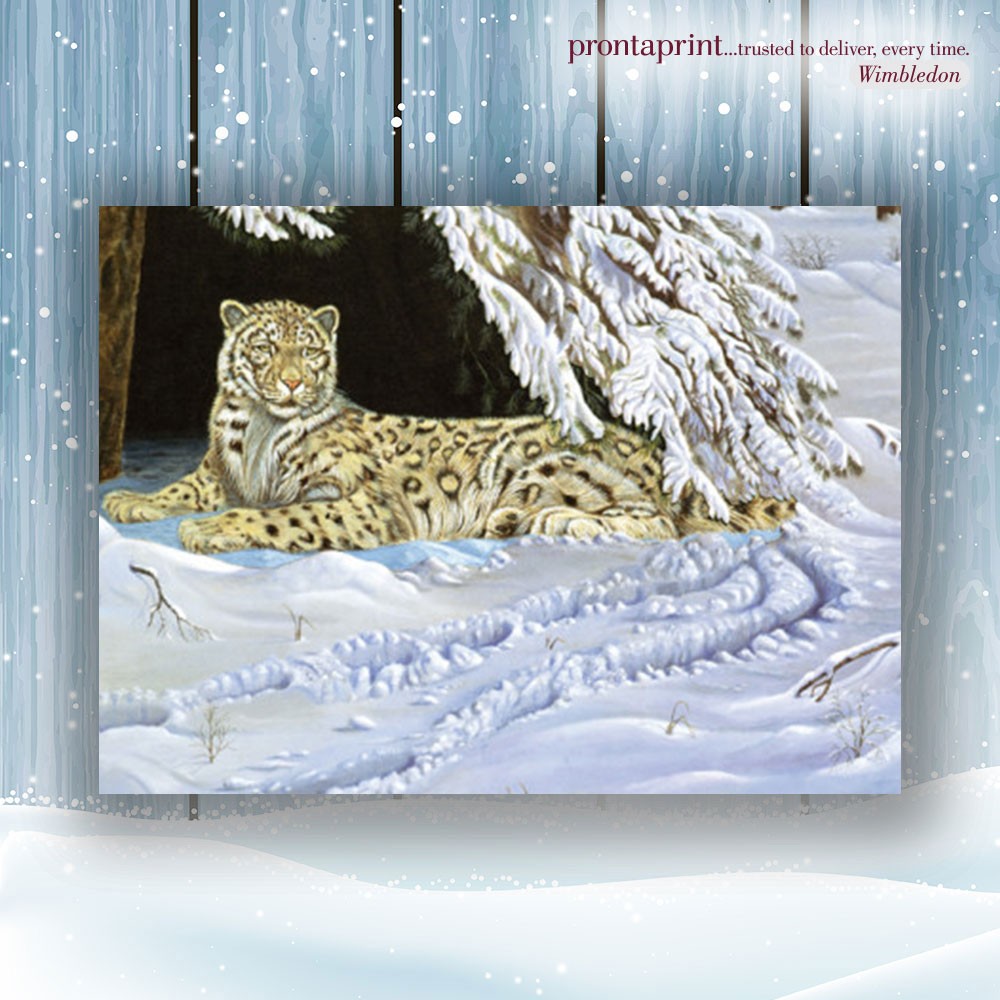 Pony Fun - Prontaprint Wimbledon